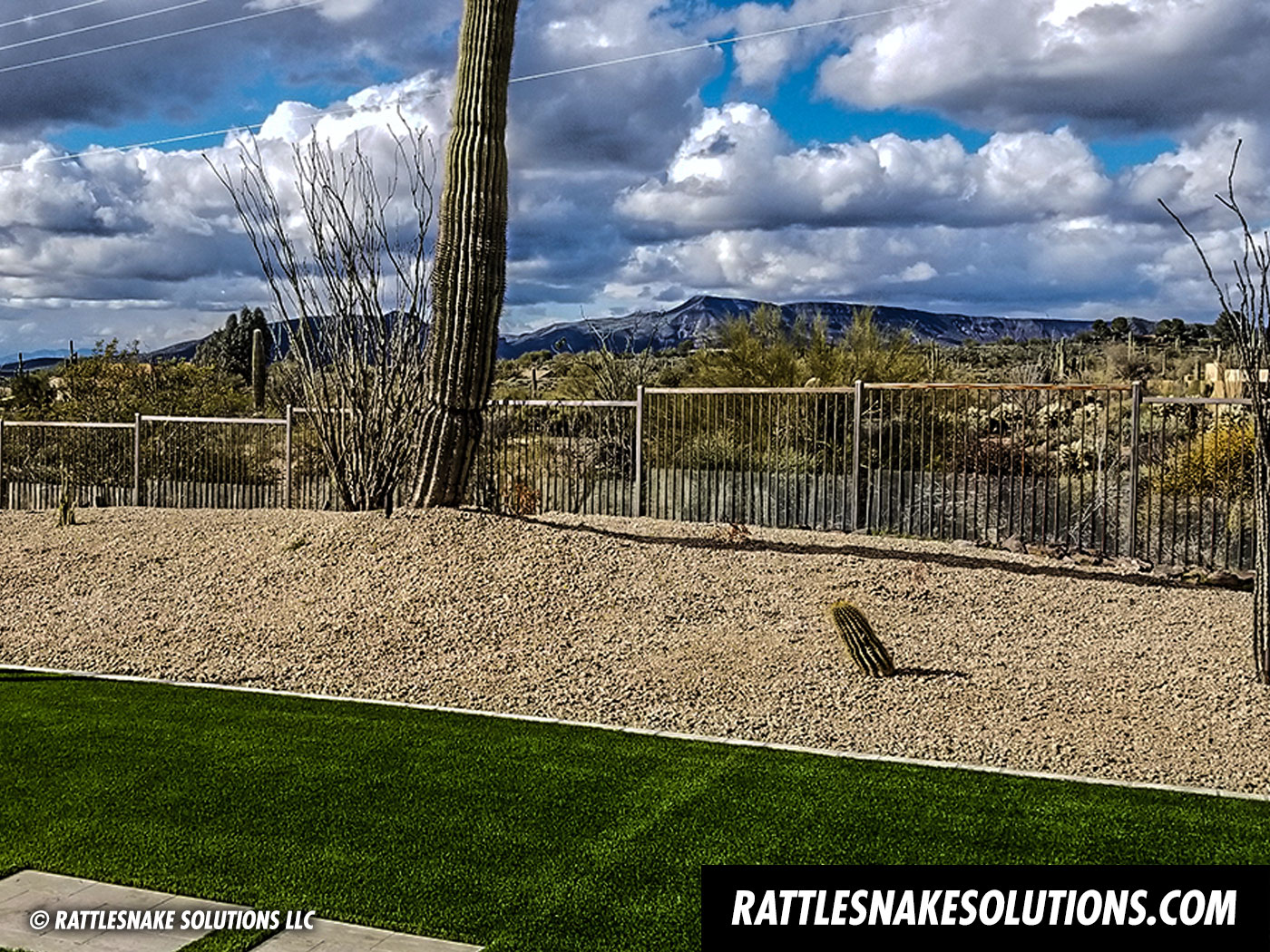 Snake Fence Installations - Don't Wait Until a Snake Shows Up ...