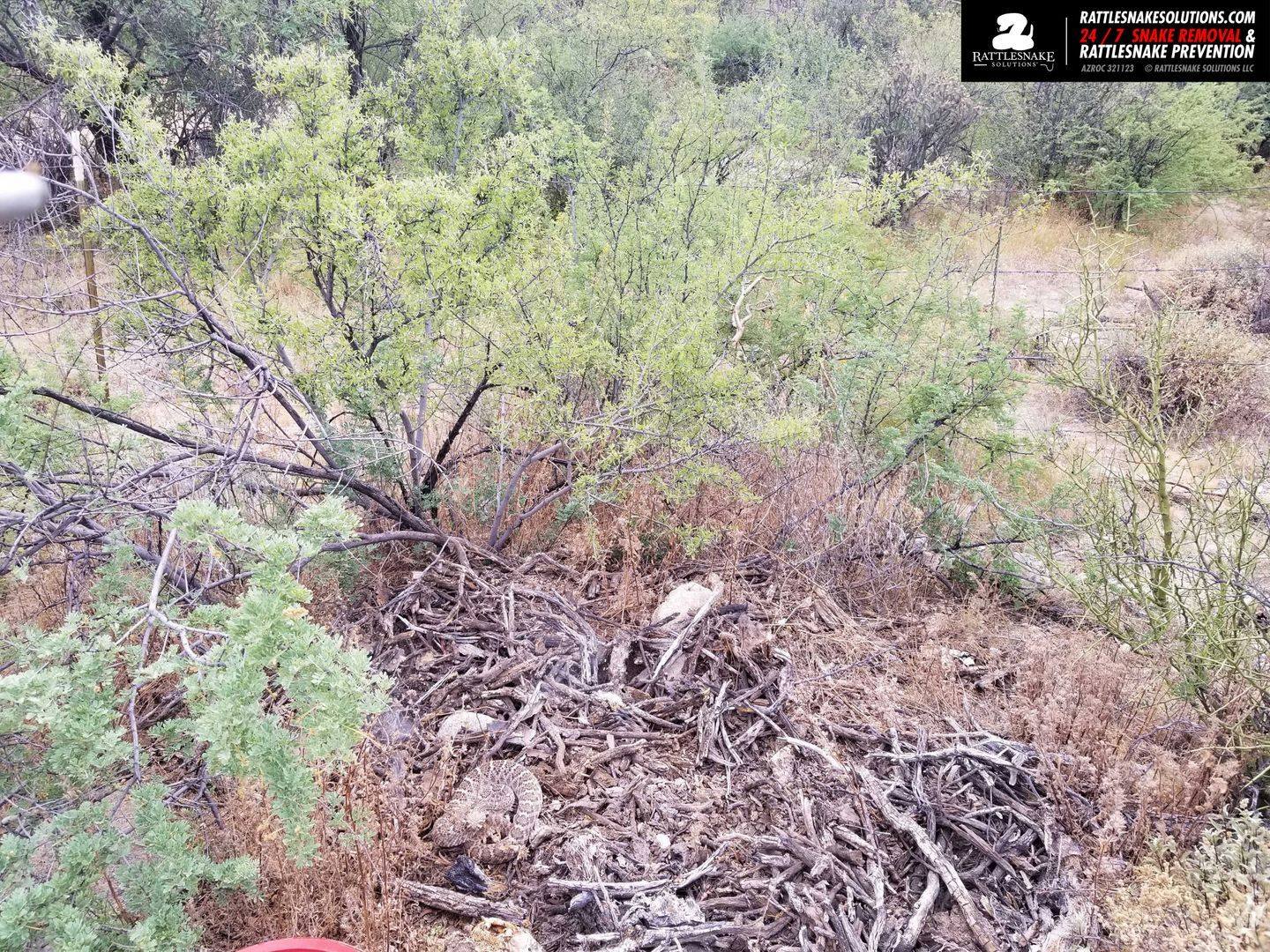 Fastest, easiest, cheapest, and most effective way to get rid of ...