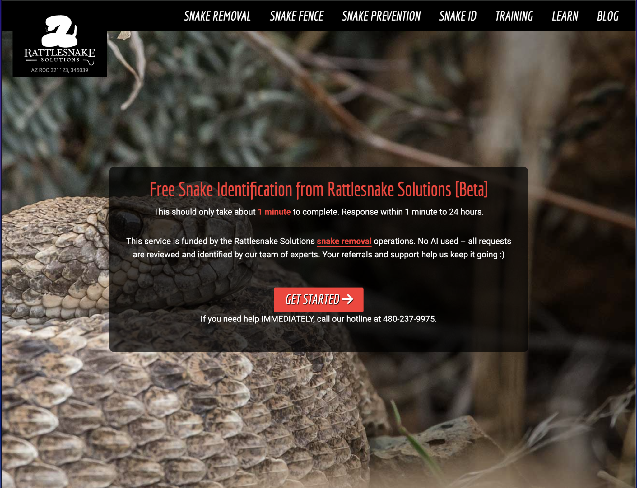 snake id Archives - Rattlesnake Solutions
