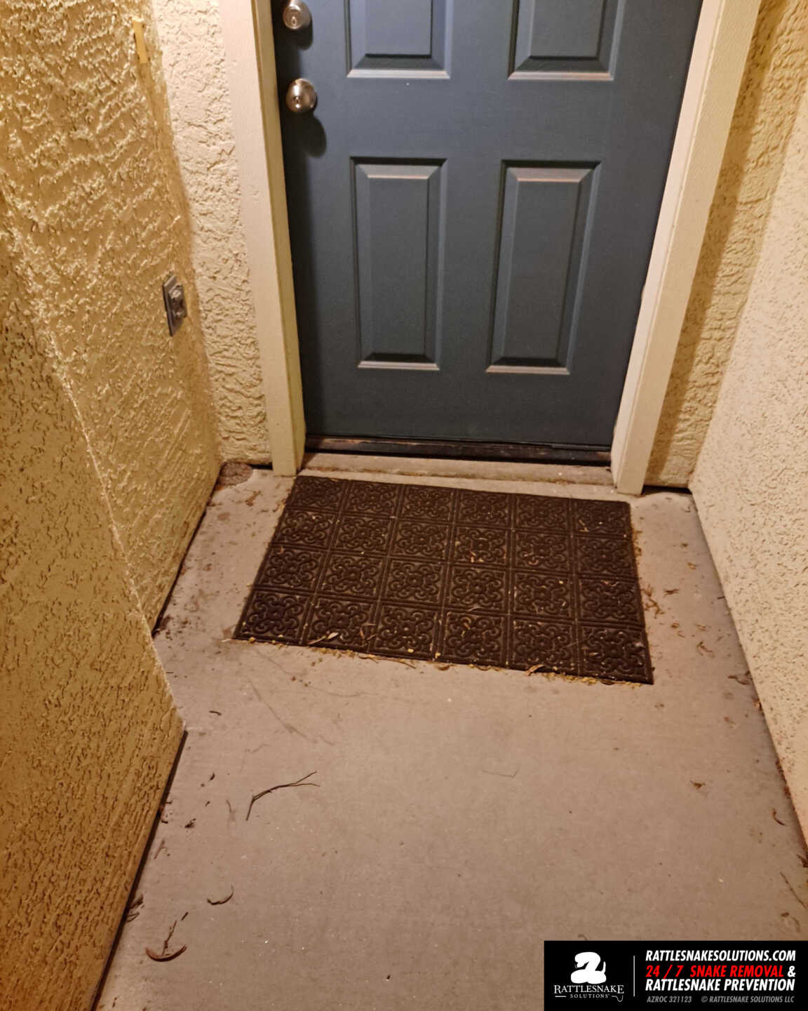 Snake Removals – Updated 11/30/2020 – Arizona Snake Removal Gallery