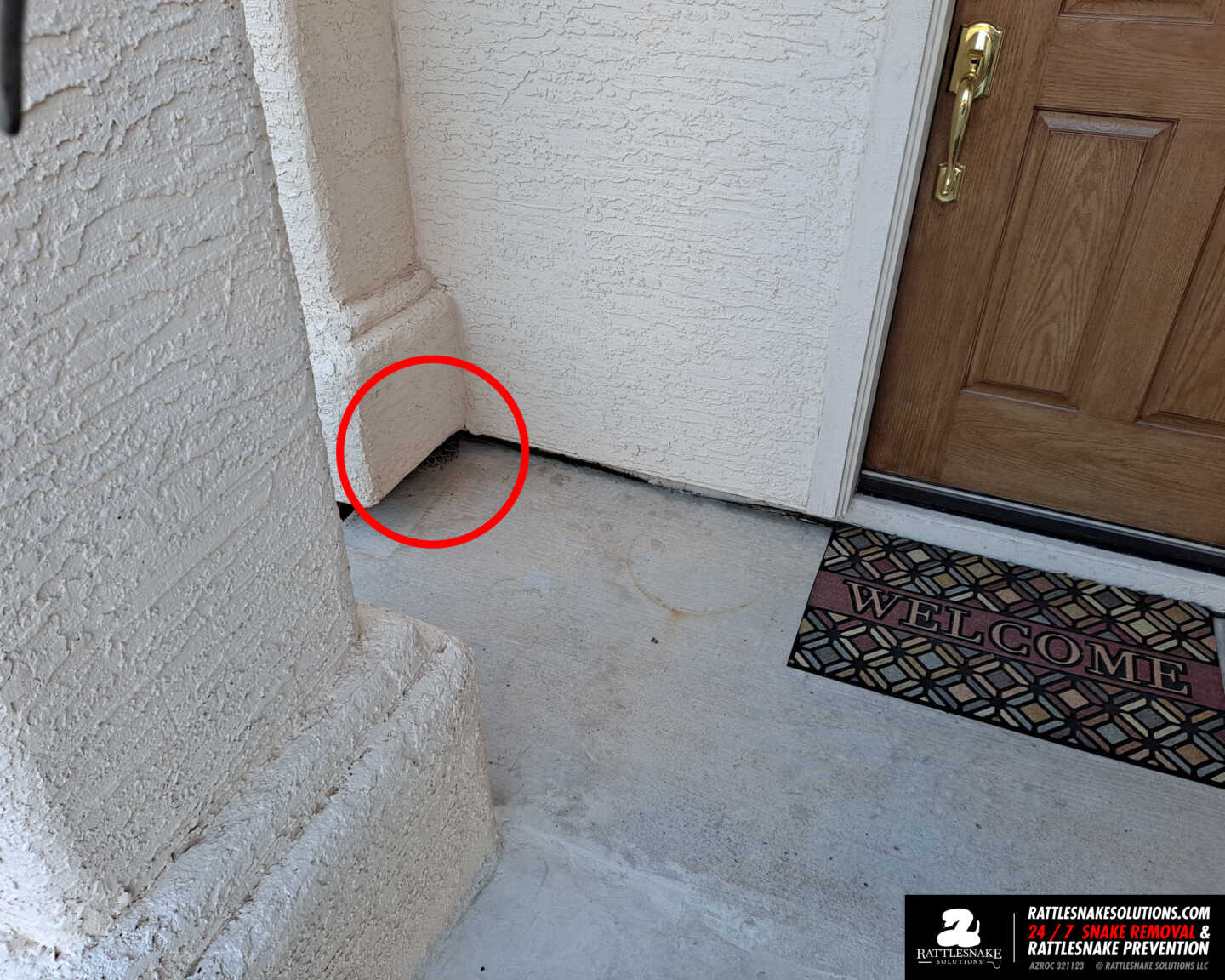 Snake Removals – Updated 11/30/2020 – Arizona Snake Removal Gallery
