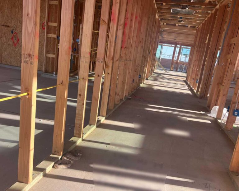 Rattlesnake At New Home Under Construction – Arizona Snake Removal Gallery