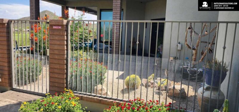 New Snake Fence Install – Arizona Snake Removal Gallery