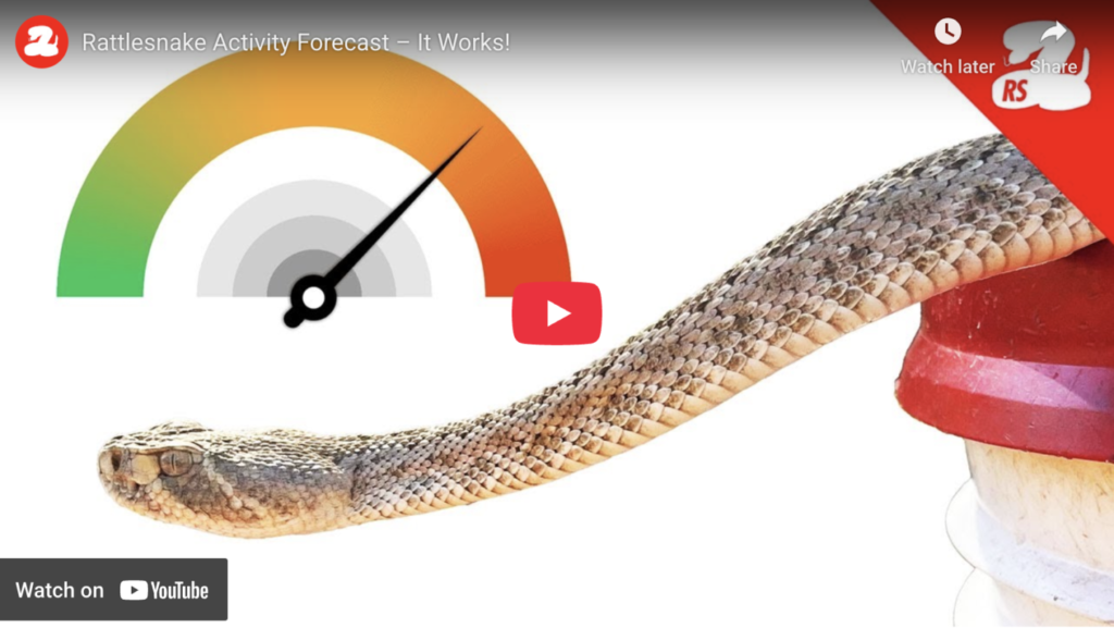 Rattlesnake Activity Forecast – It Works! – Arizona Snake Removal Gallery